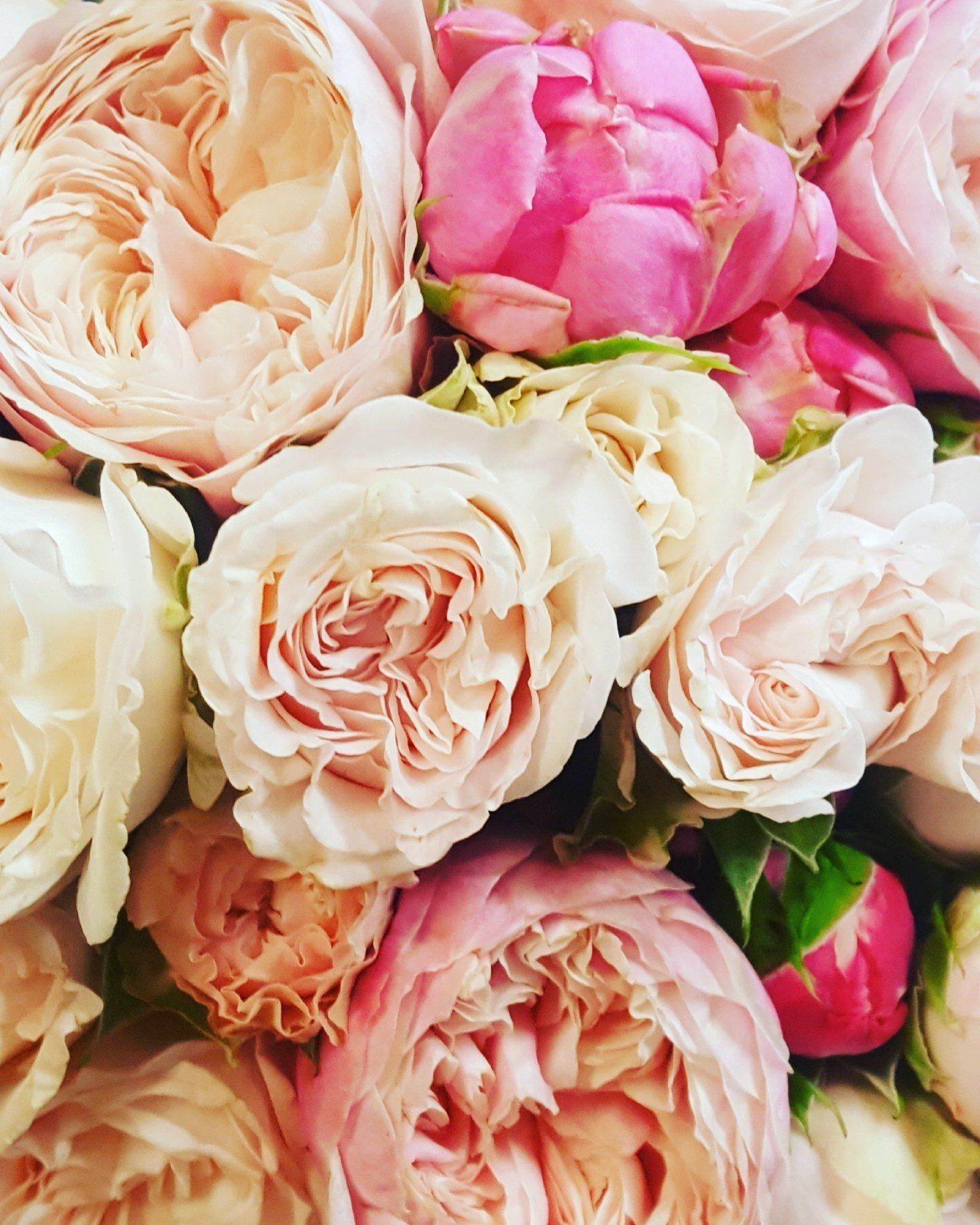 Fleuriste Villefranche-de-Rouergue : découvrez Pailhoux Fleurset